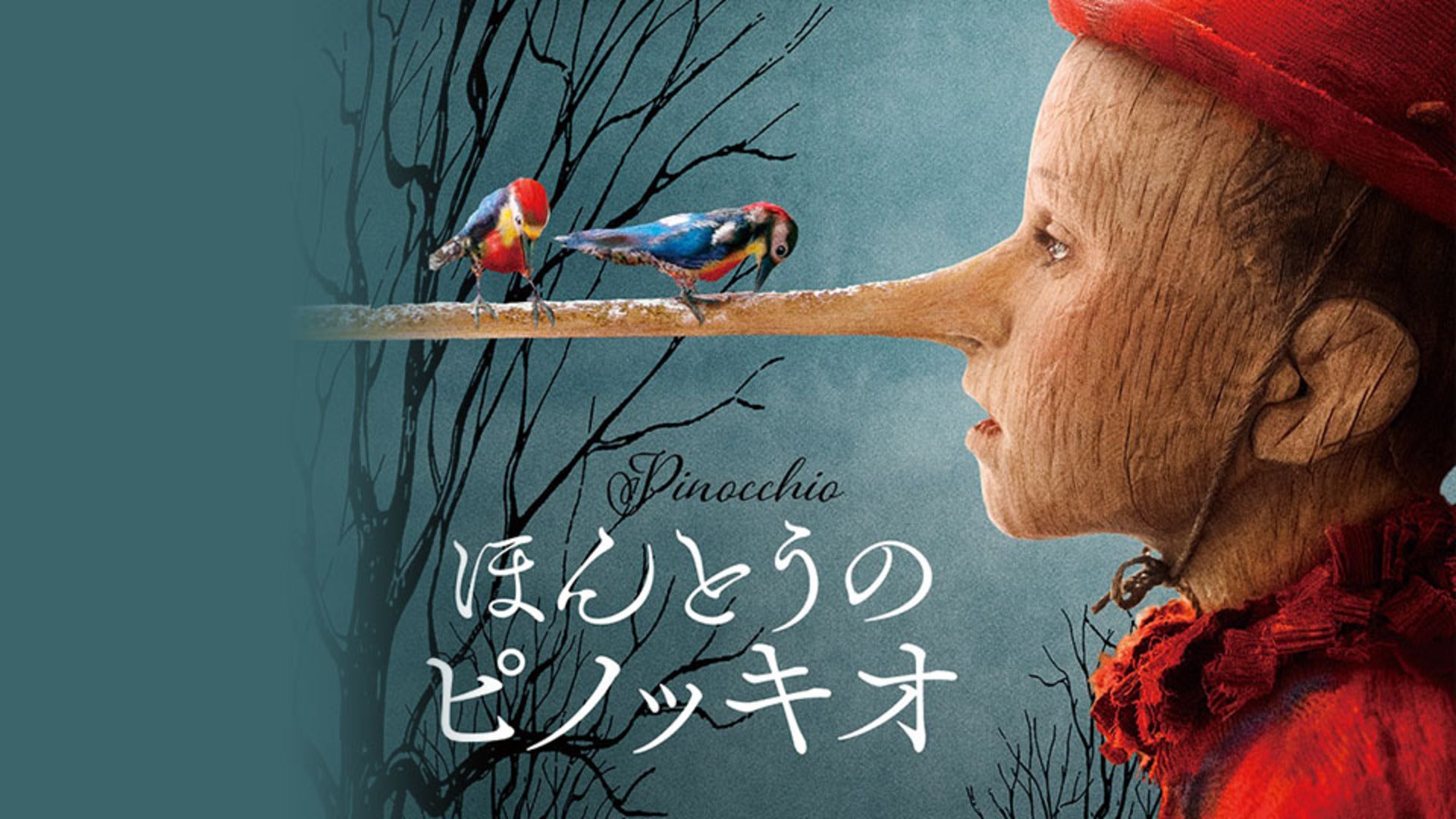 ほんとうのピノッキオ | Lemino(レミノ) - 映画・ドラマ・アニメや音楽・ライブが見放題 | ドコモの動画配信サービス