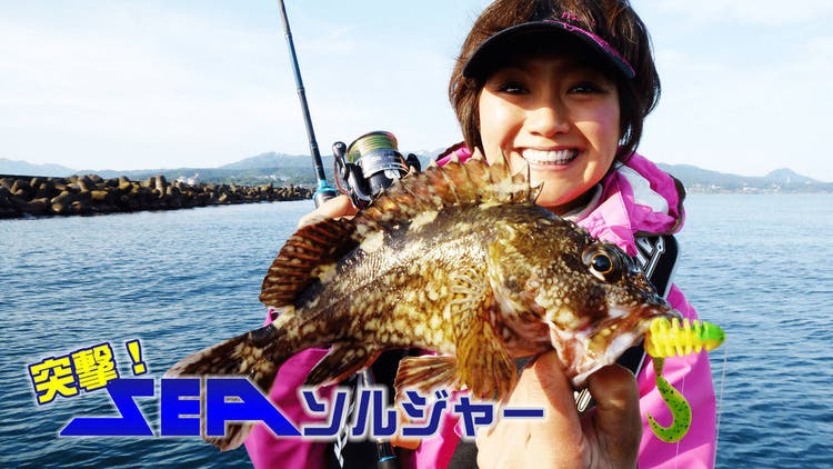 突撃！SEAソルジャー | Lemino(レミノ) - 映画・ドラマ・アニメや音楽・ライブが見放題 | ドコモの動画配信サービス