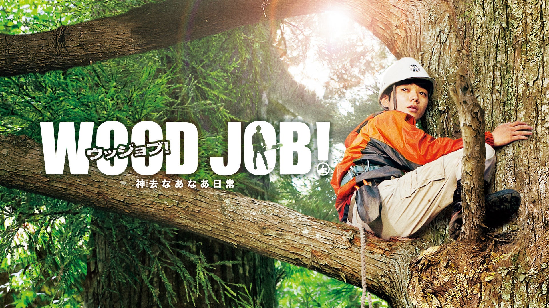 WOOD JOB!(ウッジョブ)～神去なあなあ日常～ | Lemino(レミノ) - 映画・ドラマ・アニメや音楽・ライブが見放題 | ドコモの ...