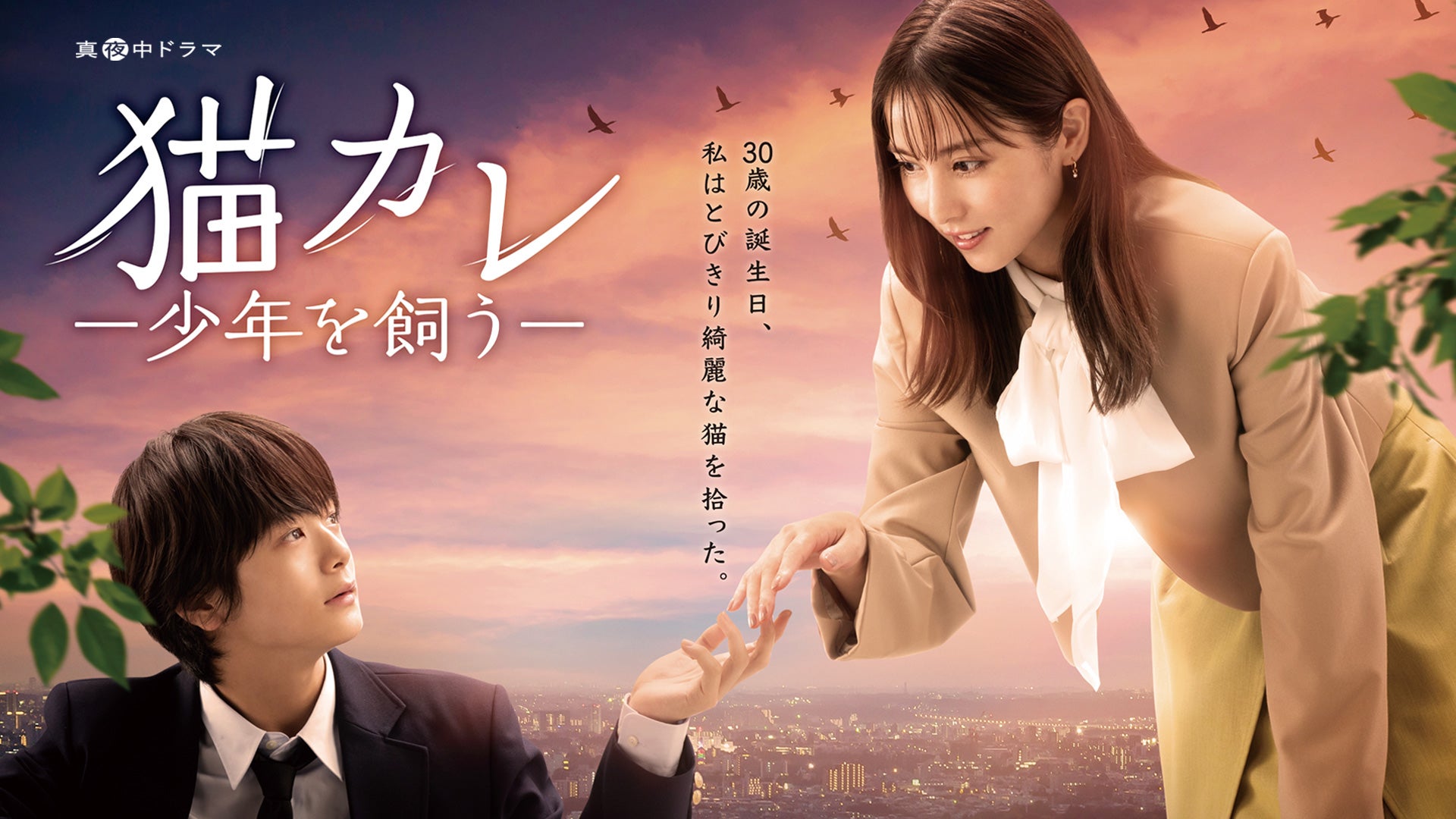 猫カレ -少年を飼う- | Lemino(レミノ) - 映画・ドラマ・アニメや音楽・ライブが見放題 | ドコモの動画配信サービス